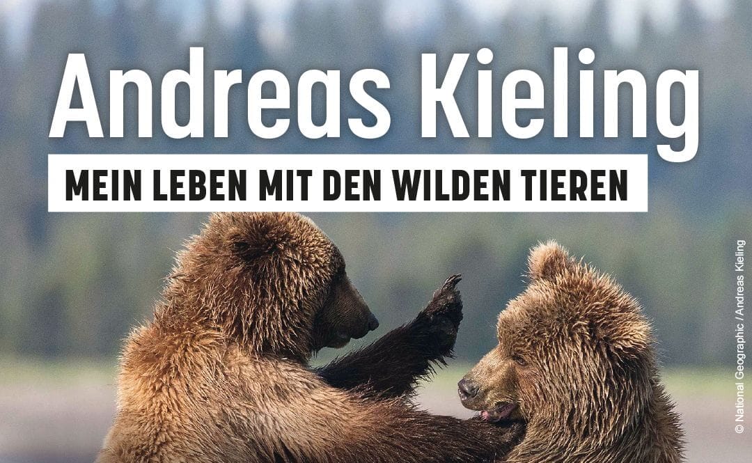 Andreas Kieling geht auf mit Doku "Mein Leben mit den wilden Tieren ...